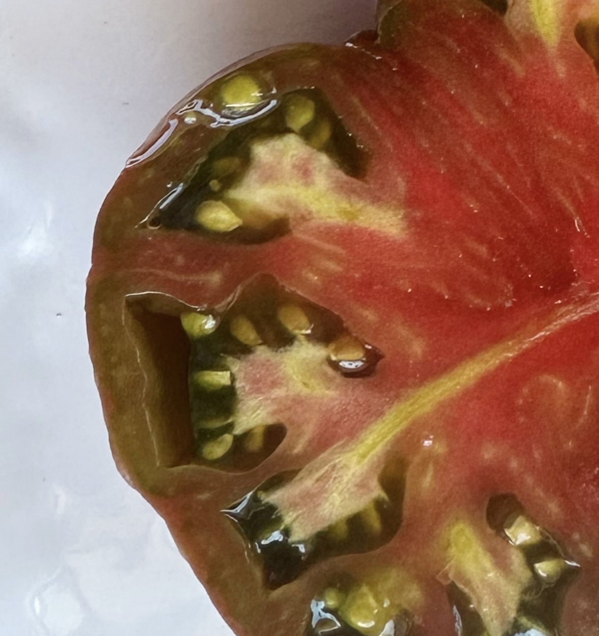 Saving Tomato Seeds for Next Year's Garden - the Paper Towel Method ...